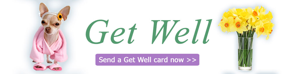 Find a Animated Get Well eCards or eCard - Doozy Cards