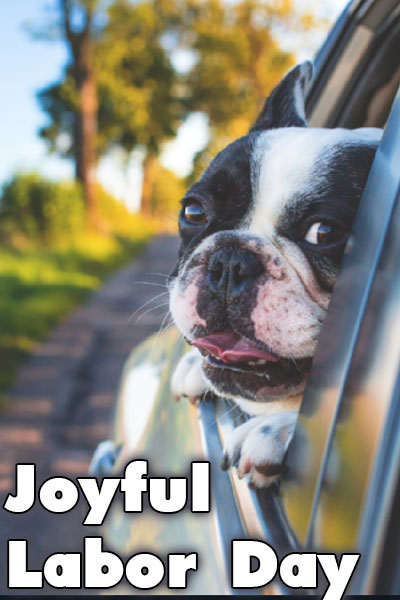 New eCards, Find a New eCard - Doozy Cards